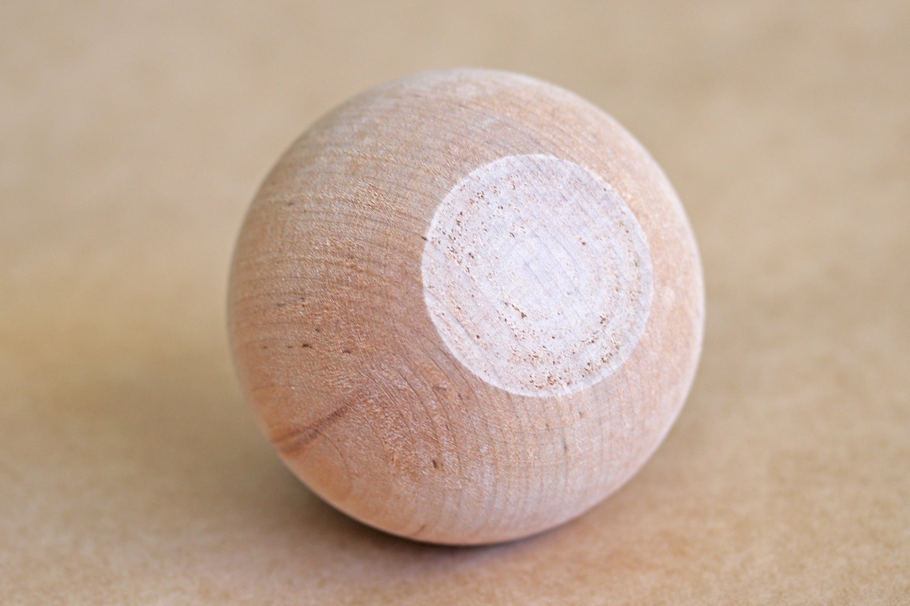 The Hidden Treehouse