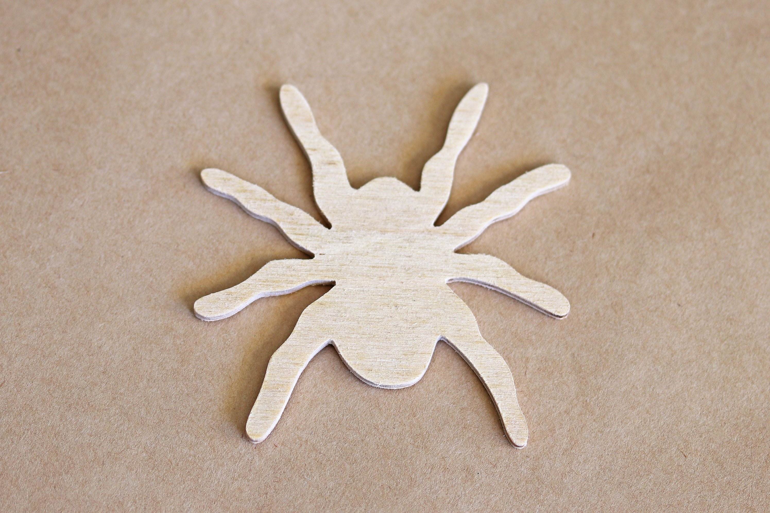 Spider Cutout - The Hidden Treehouse